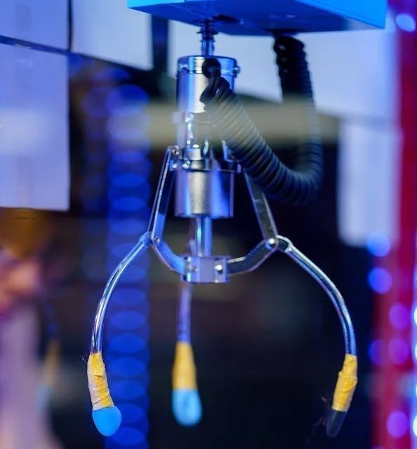 How To Win At Arcade Claw Machine Games: Strategies & Tips